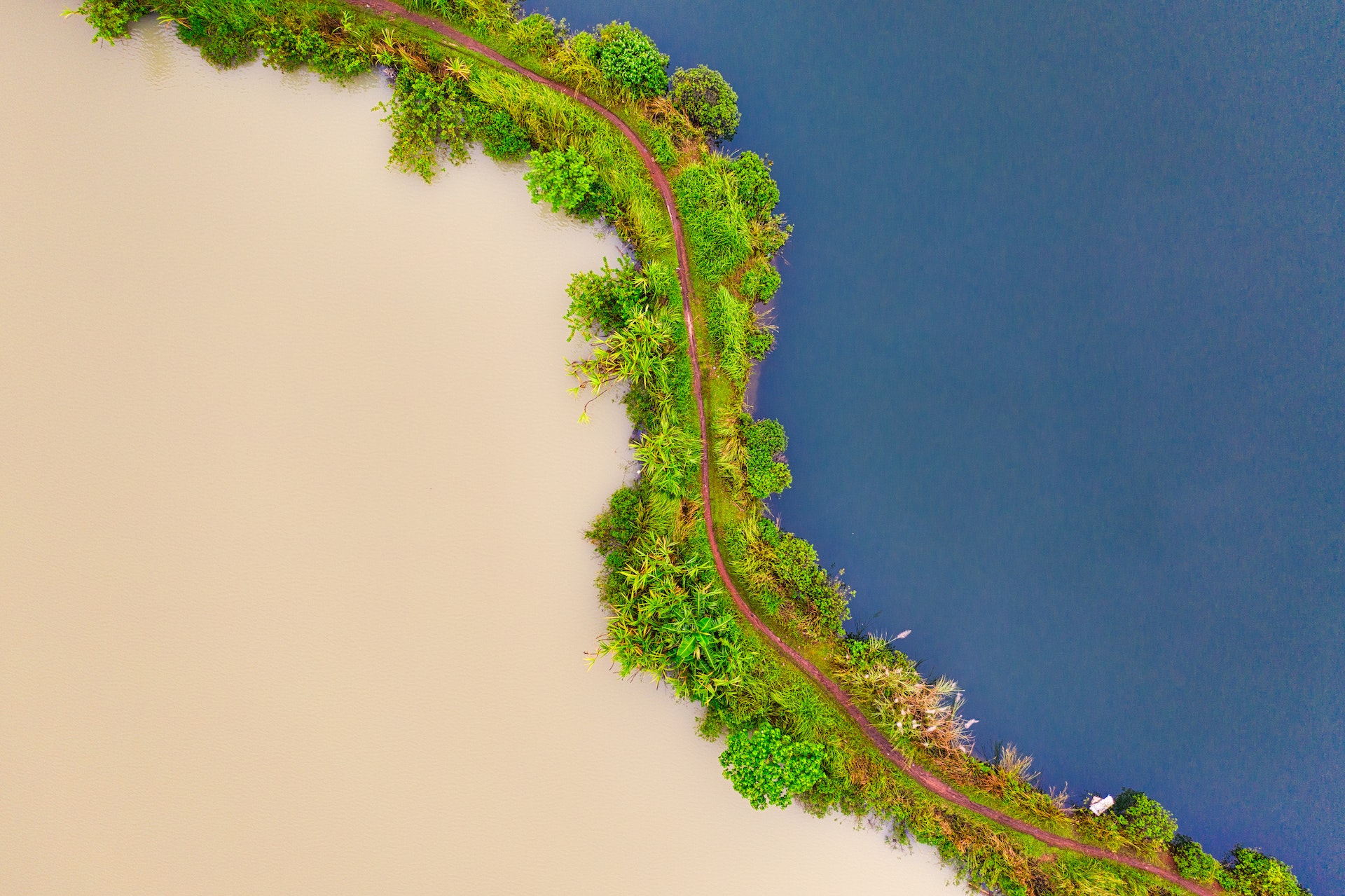 Padding Vs Border Vs Margin in CSS. A 2-minute super read. - sitemust.com Padding Vs Border Vs Margin in CSS. A 2-minute super read. - sitemust.com
